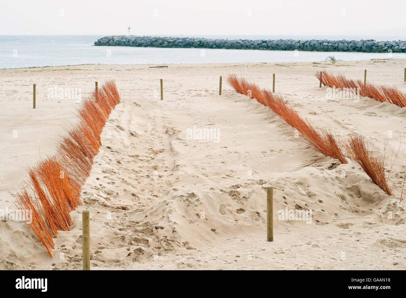 Sand dune stabilization hi-res stock photography and images - Alamy