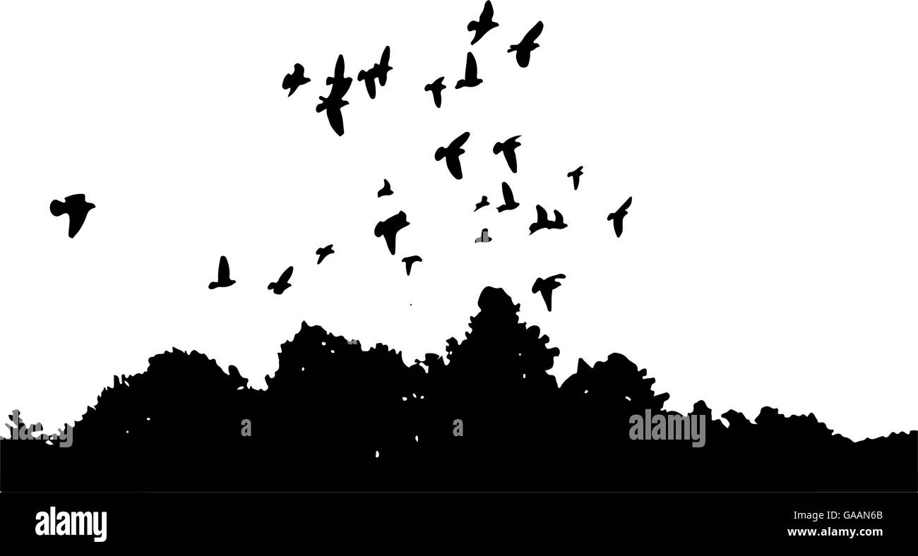 Rock doves Stock Vector Images - Alamy