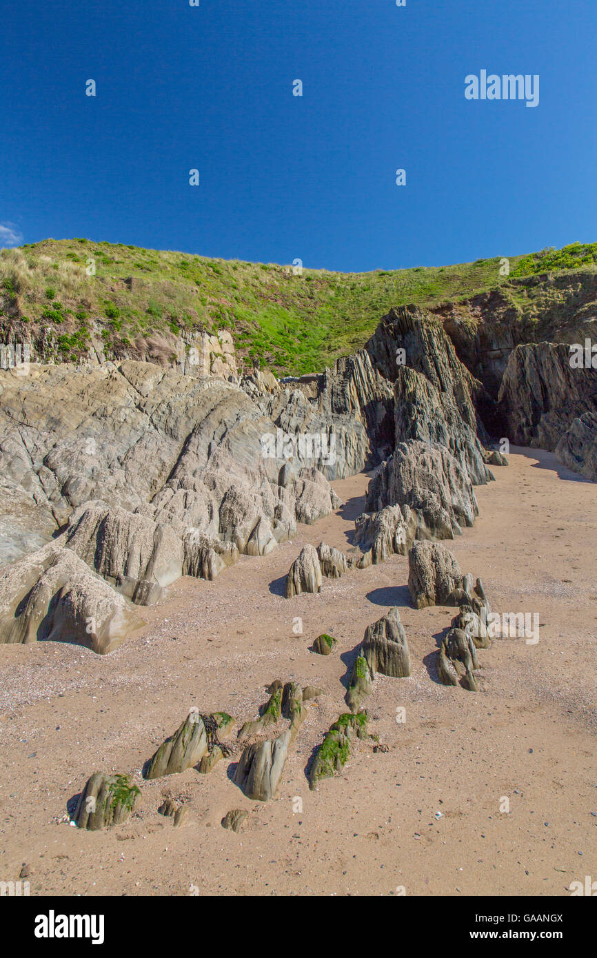 The vertical rock strata in the cliffs at Bigbury on Sea, South Devon ...