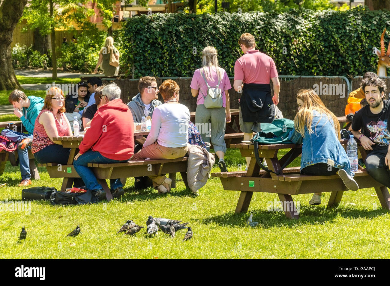 People sit an relax on picnic tables in a grassed area of parkland ...