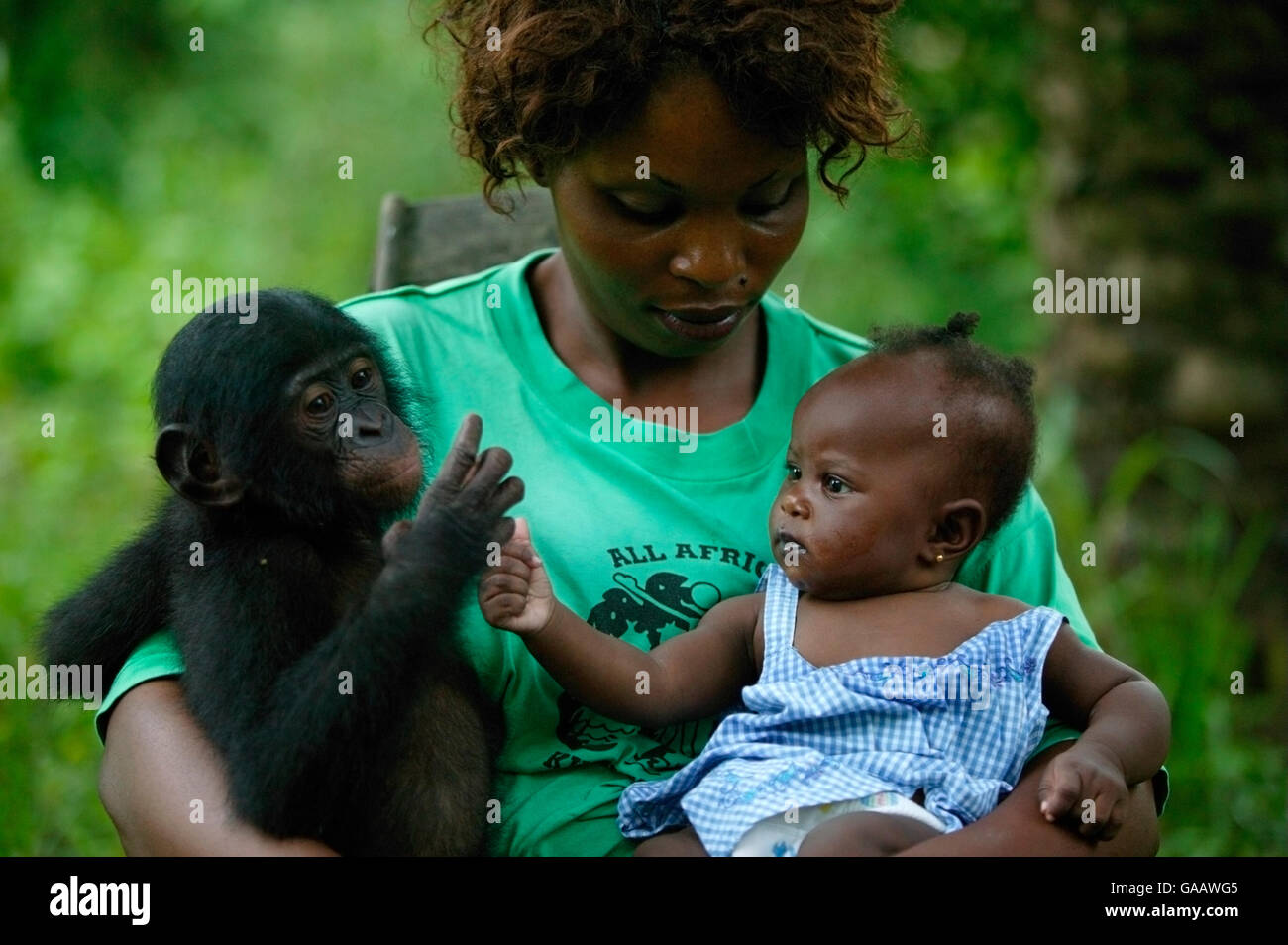 Surrogate mother animal hi-res stock photography and images - Alamy