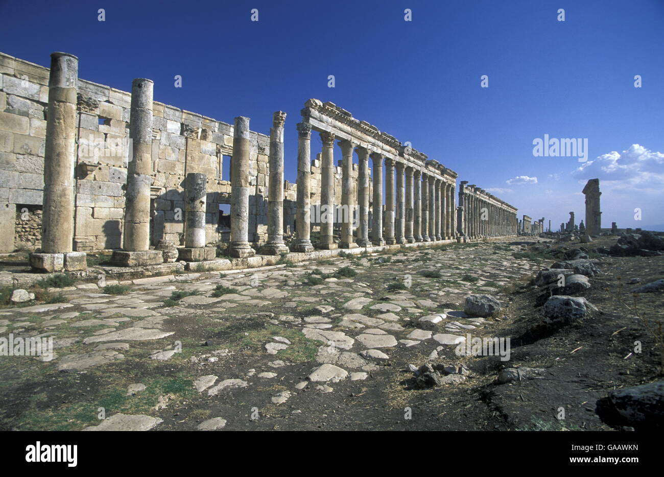 the ruins of Apamea near the city of Hama in Syria in the middle east ...