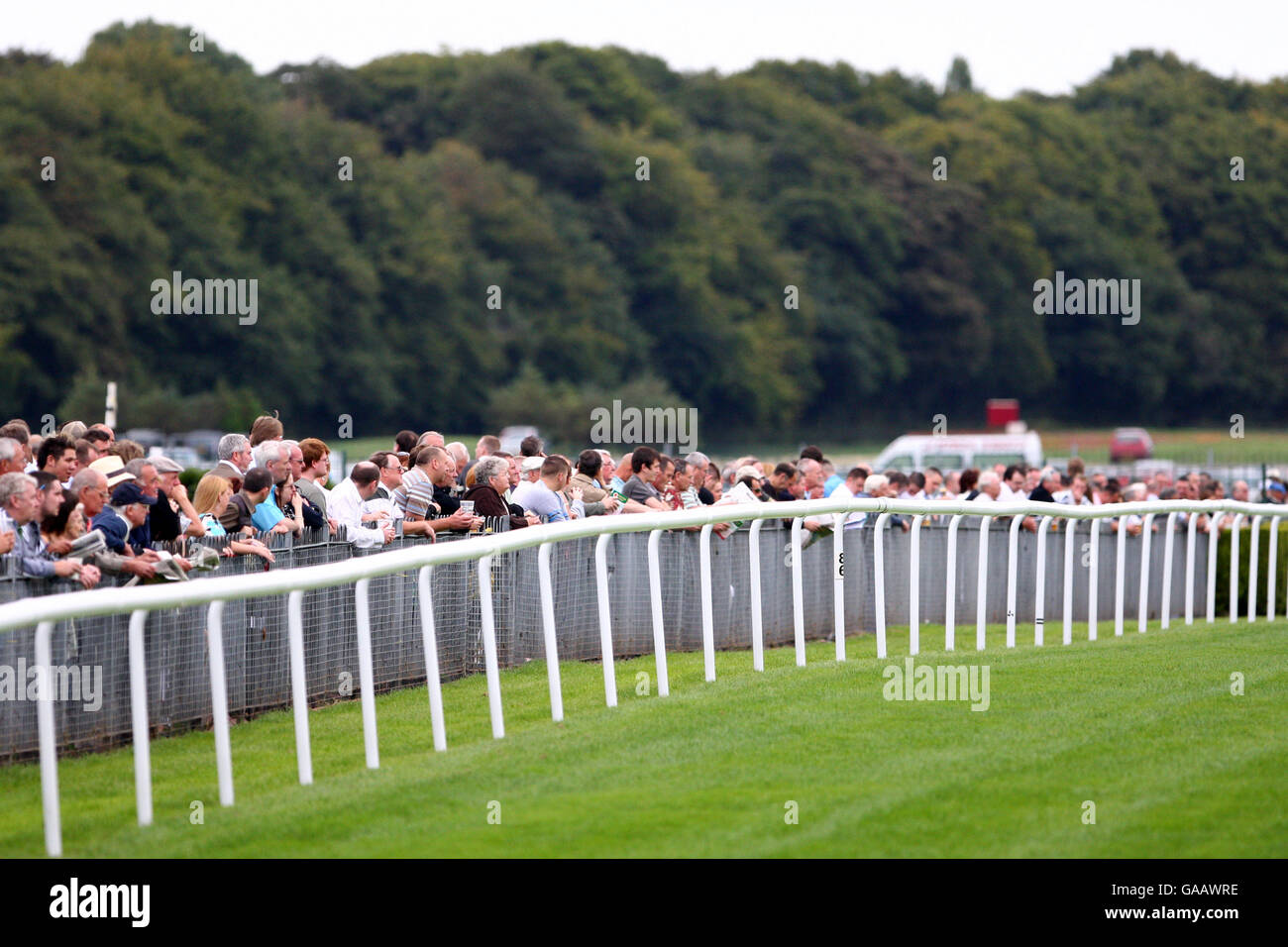 Horse racing pfa centenary event haydock racecourse hi-res stock ...