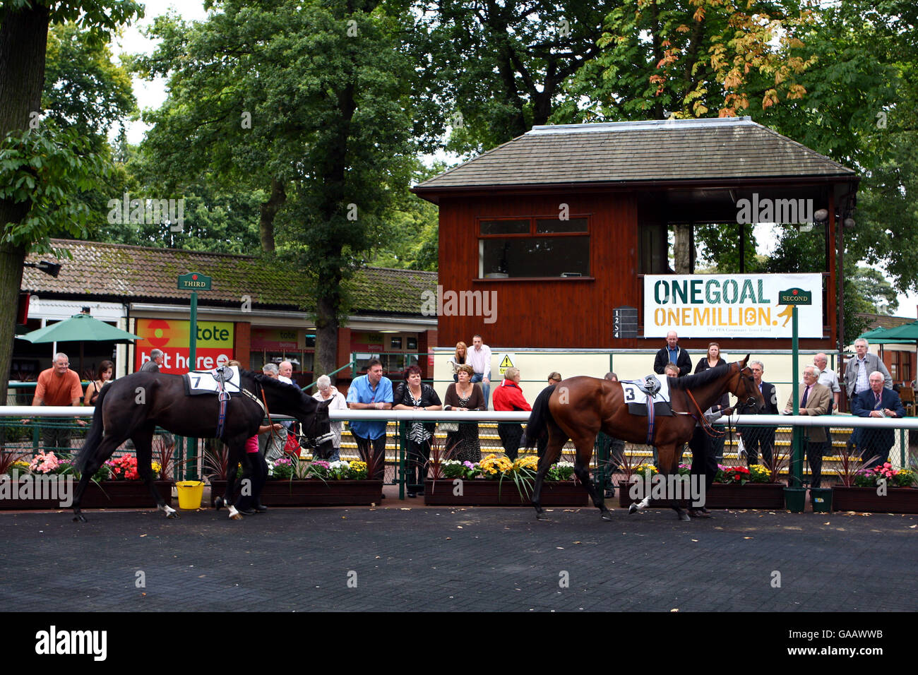 Horse racing pfa centenary event haydock racecourse hi-res stock ...