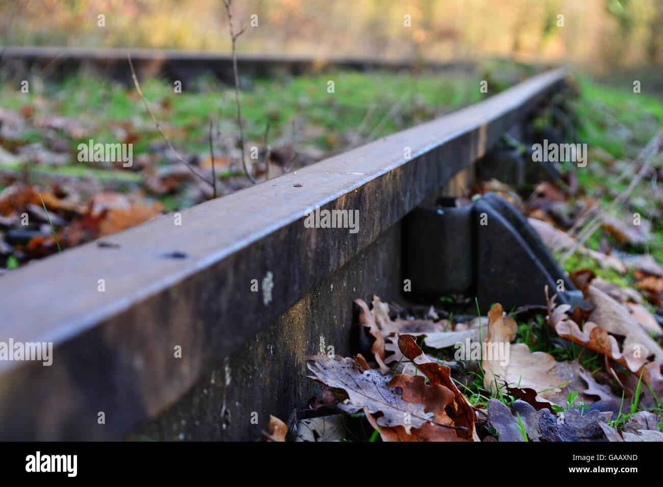 abandoned railway tracks Stock Photo - Alamy