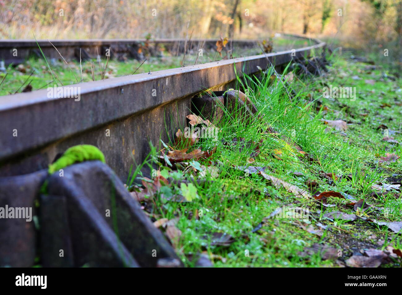 abandoned railway tracks Stock Photo - Alamy