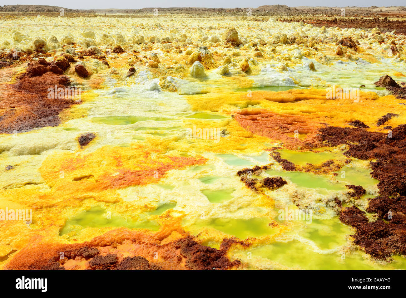 Dallol hot spring with salt concretions coloured by sulphur, potassium ...