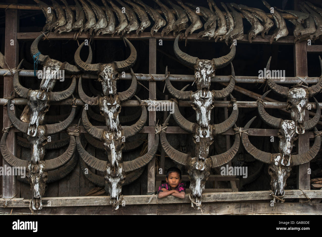 Konyak Naga boy peering out of house decorated with buffalo skulls ...