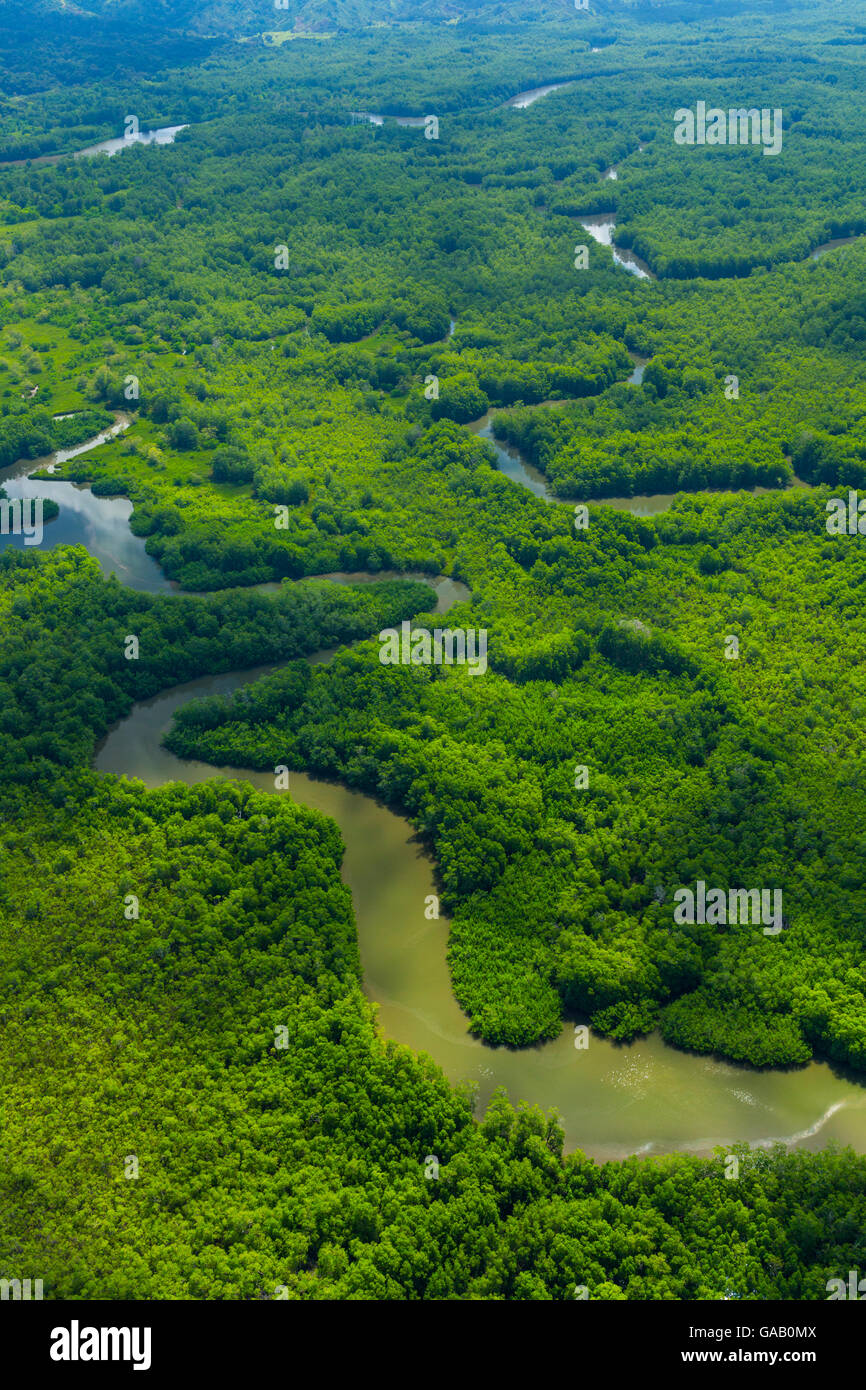 Sierpe terraba mangrove hi-res stock photography and images - Alamy