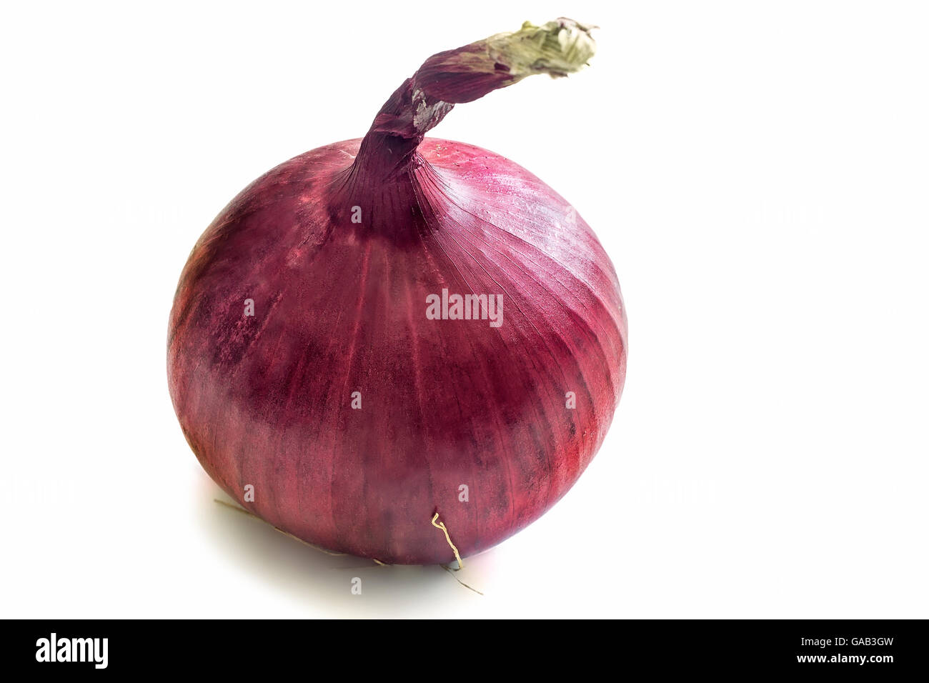 Large onion purple color on a white background Stock Photo - Alamy