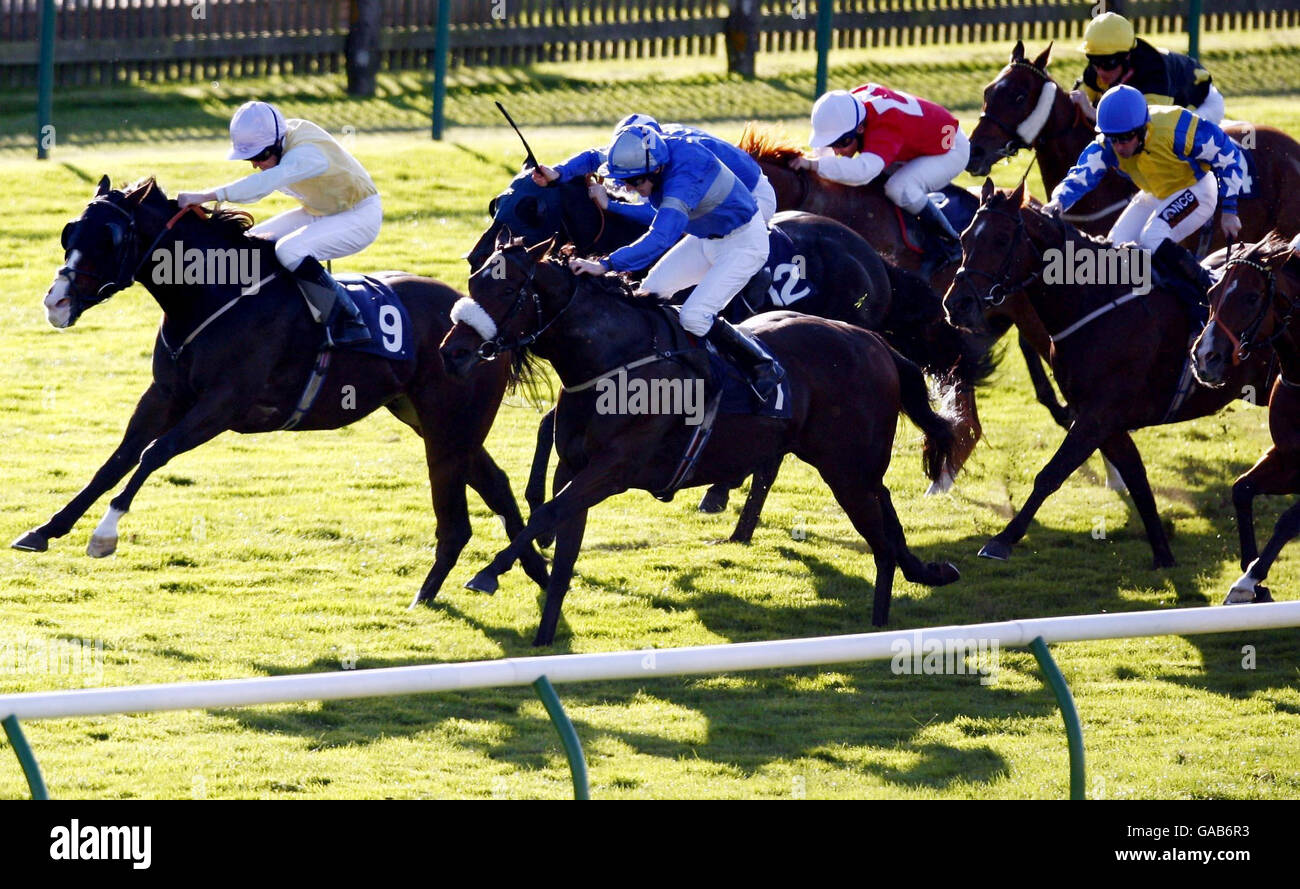 Horse racing newmarket racecourse hi-res stock photography and images ...
