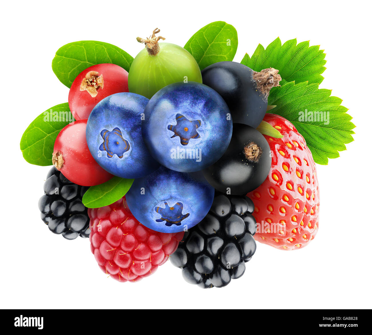 Isolated berries. Various fresh berry fruits (blueberry, black and red ...