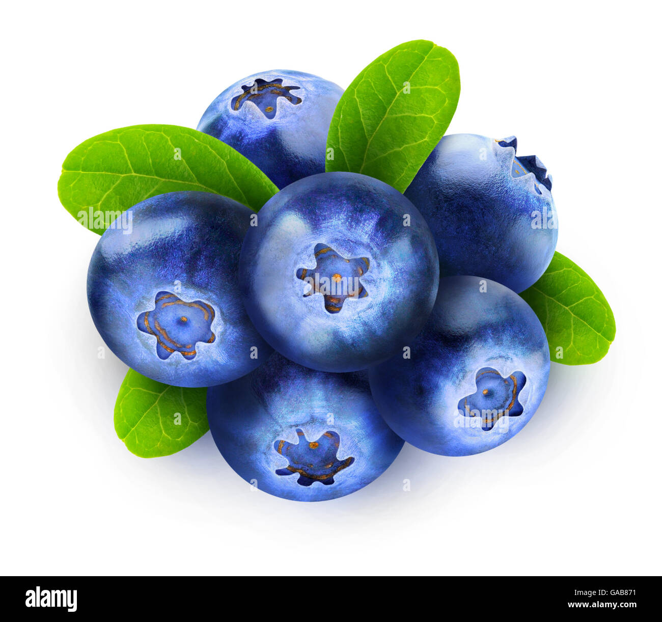Isolated blueberries. Six blueberry fruits isolated on white background ...