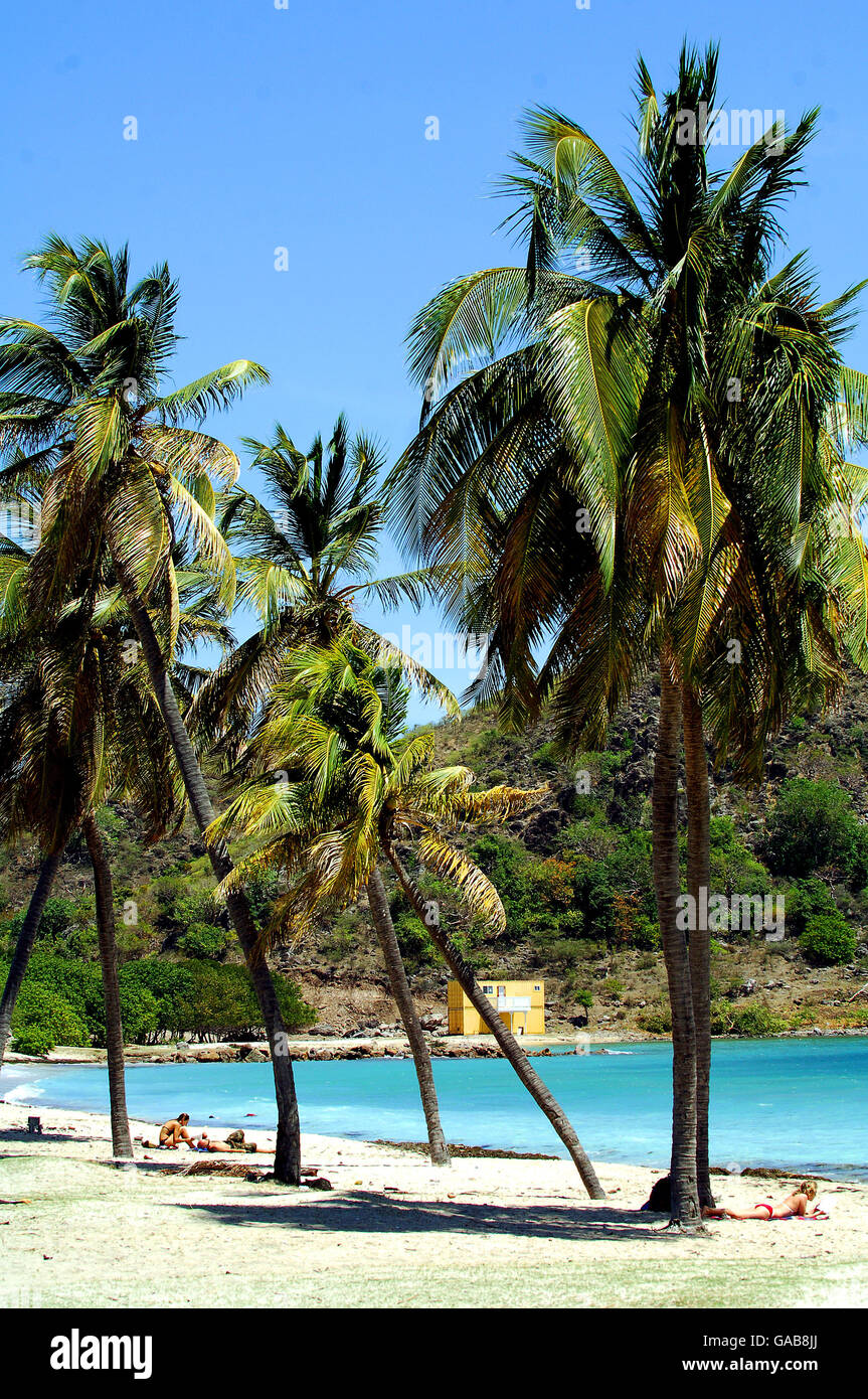 Cockleshell Bay beach Stock Photo - Alamy