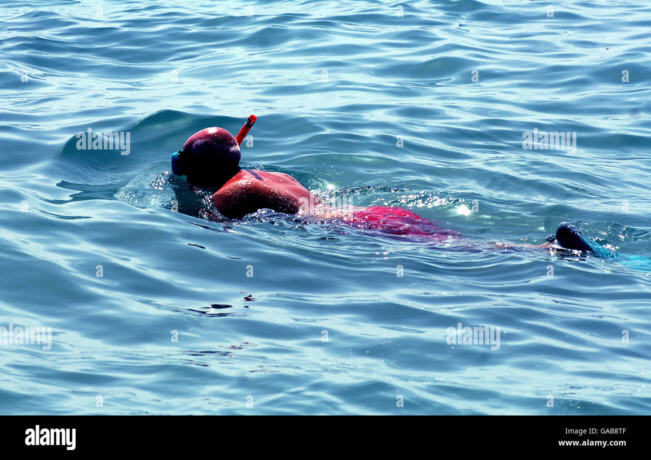 Snorkeling in turtle bay hi-res stock photography and images - Alamy