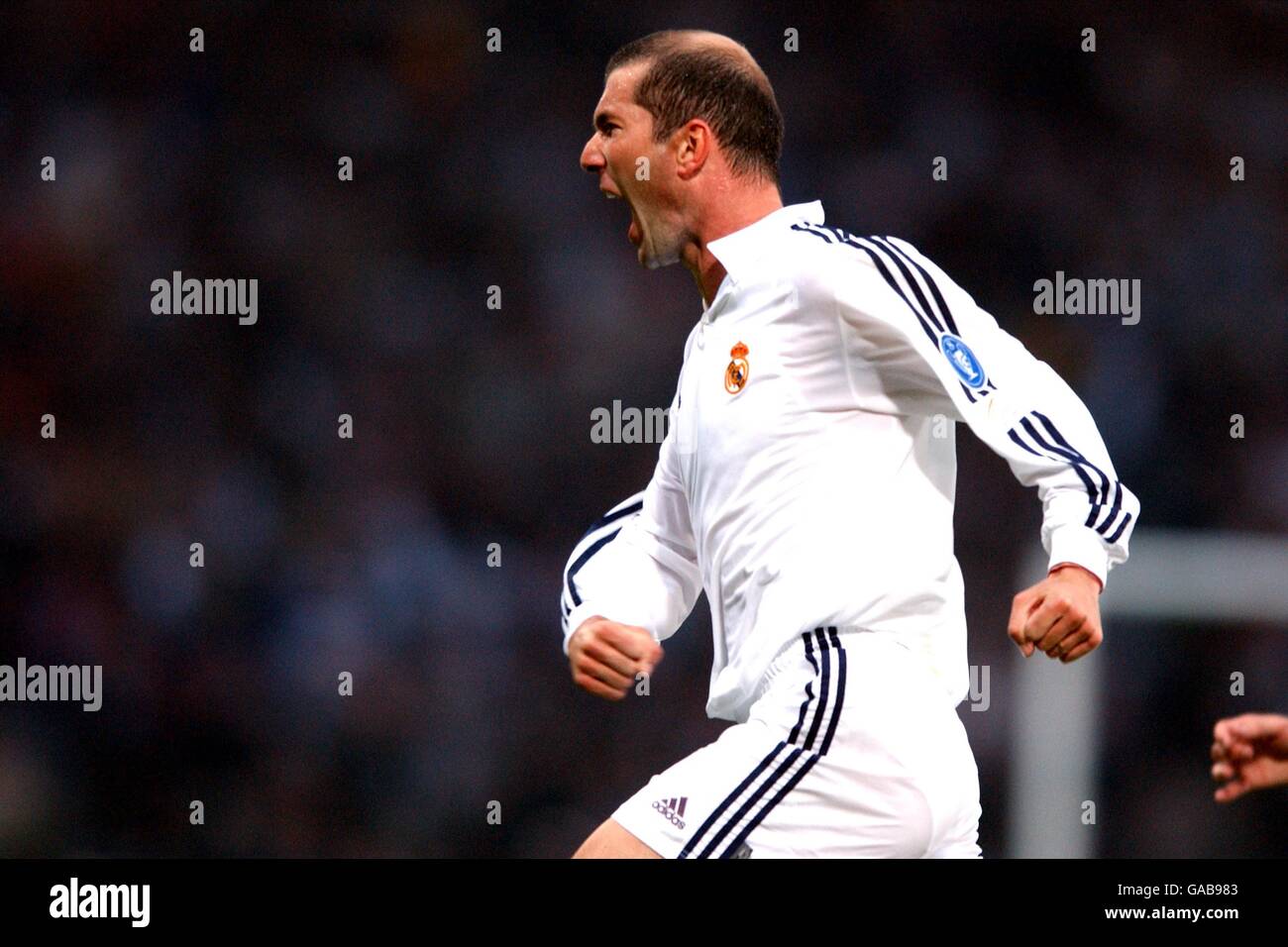 Zidane Goals Highlights