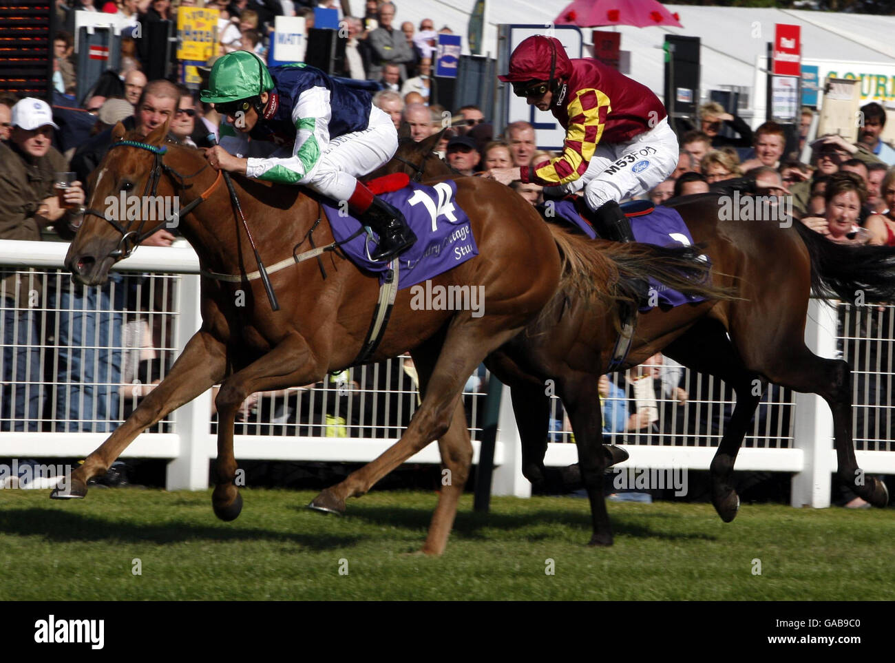 Horse racing ayr racecourse hi-res stock photography and images - Alamy