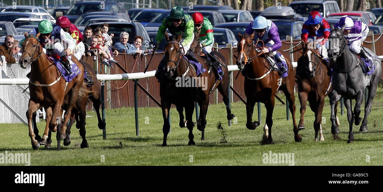 Horse racing ayr racecourse hi-res stock photography and images - Alamy