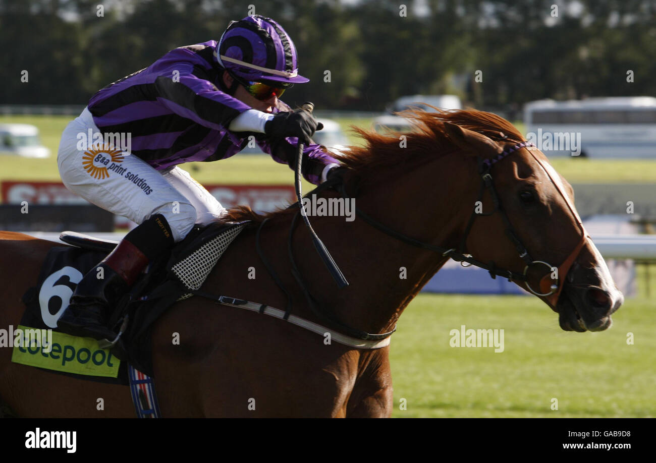 Horse Racing - Ayr Racecourse Stock Photo - Alamy