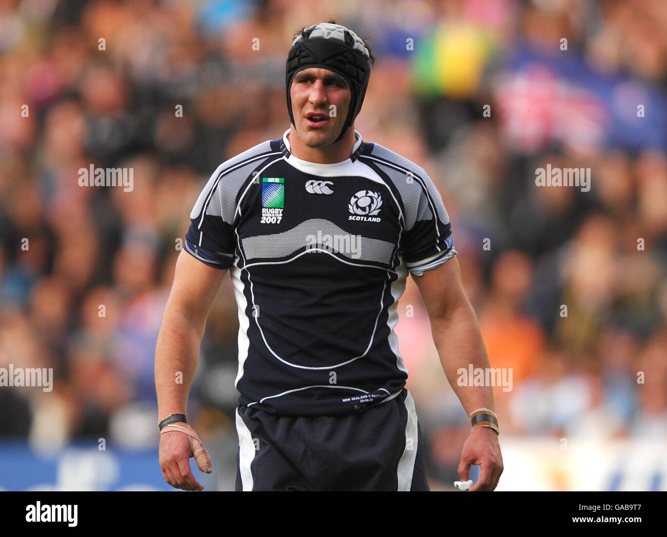 Kelly pool hi-res stock photography and images - Alamy