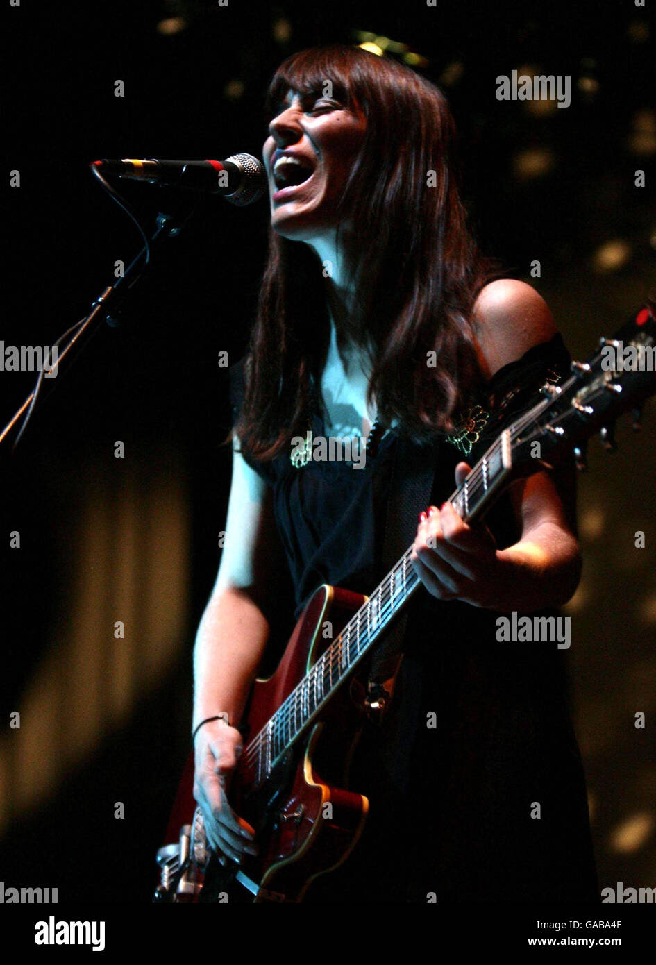 Feist hi-res stock photography and images - Alamy