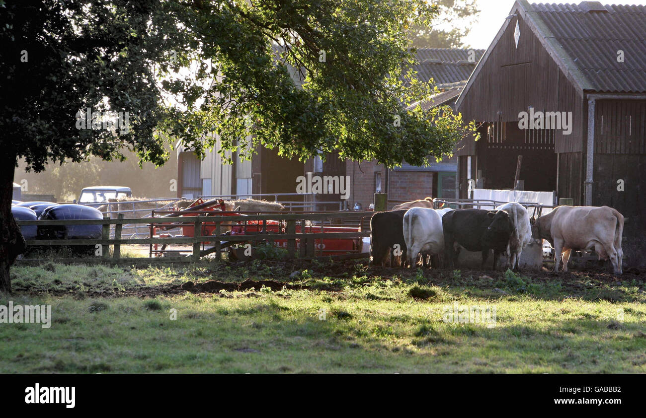 General view of Mace Green Farm at Washbrook, near Ipswich, Suffolk ...