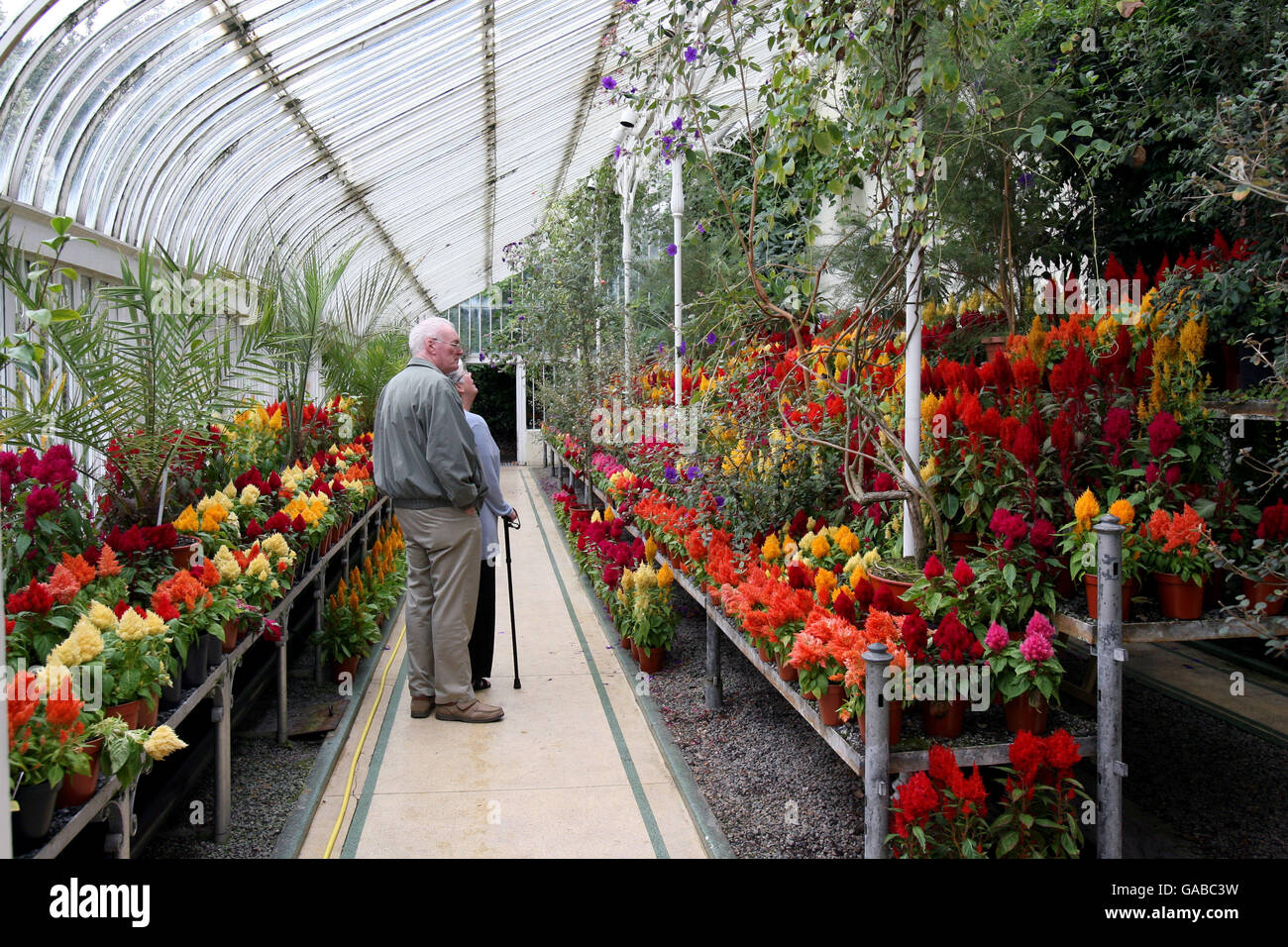 Botanic Gardens - Belfast. Botanic Gardens in Belfast Stock Photo - Alamy
