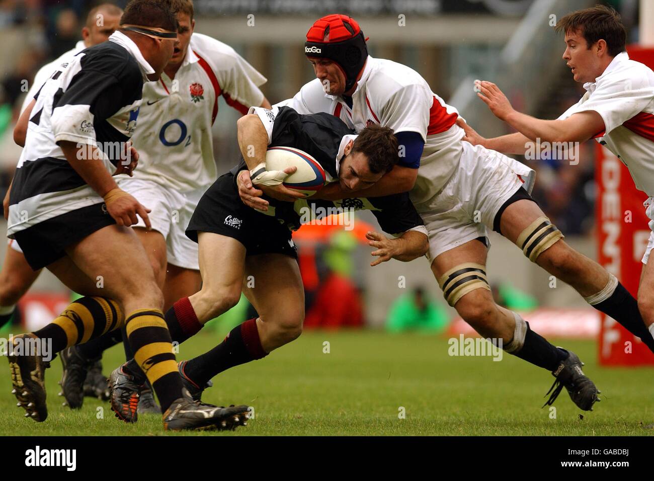 Alex codling rugby hi-res stock photography and images - Alamy
