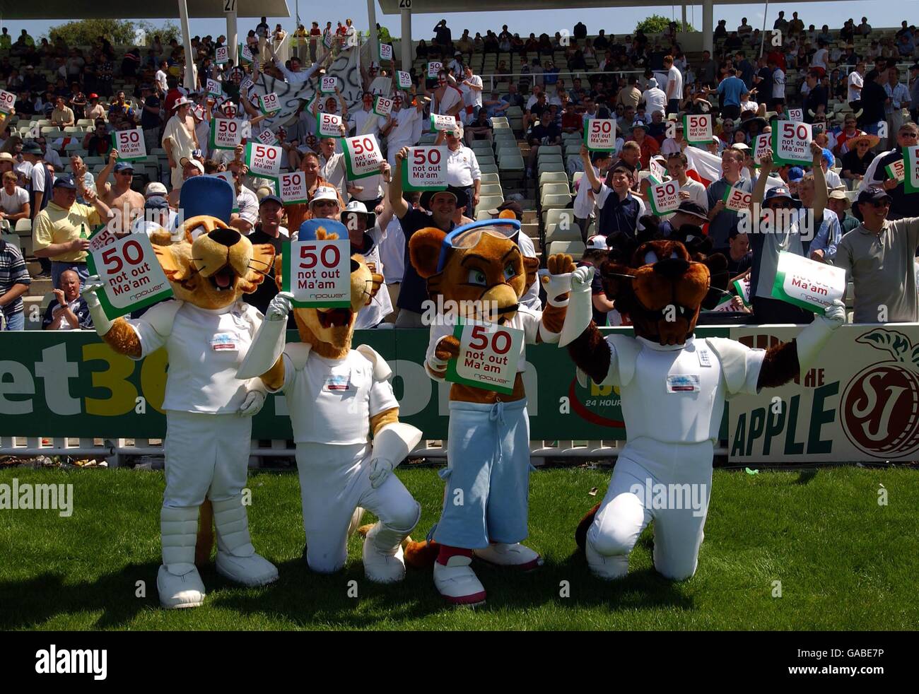 Npower cards hi-res stock photography and images - Alamy