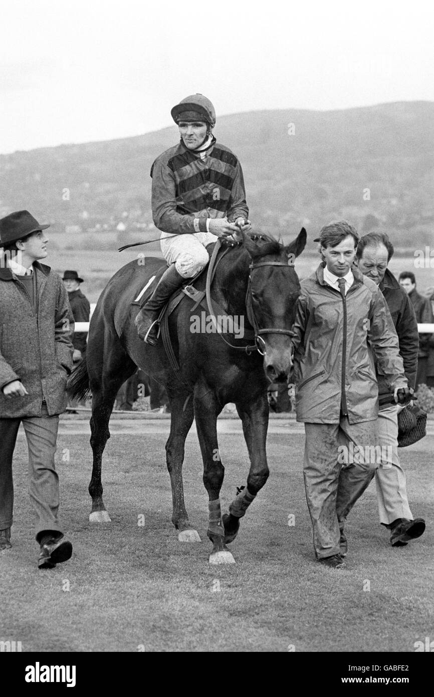 Being led into winners enclosure hi-res stock photography and images ...