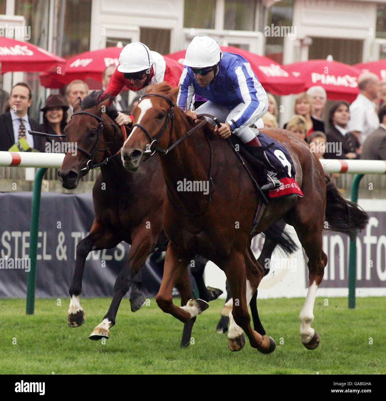 Majestic horse newmarket hi-res stock photography and images - Alamy