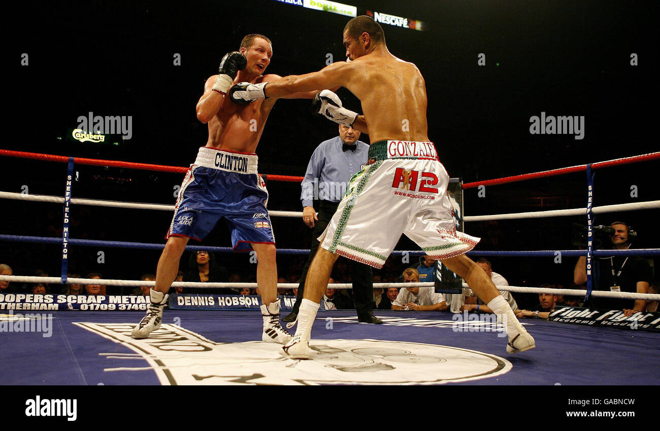 Boxing - IBF light-heavyweight title - Clinton Woods v Julio Gonzalez ...