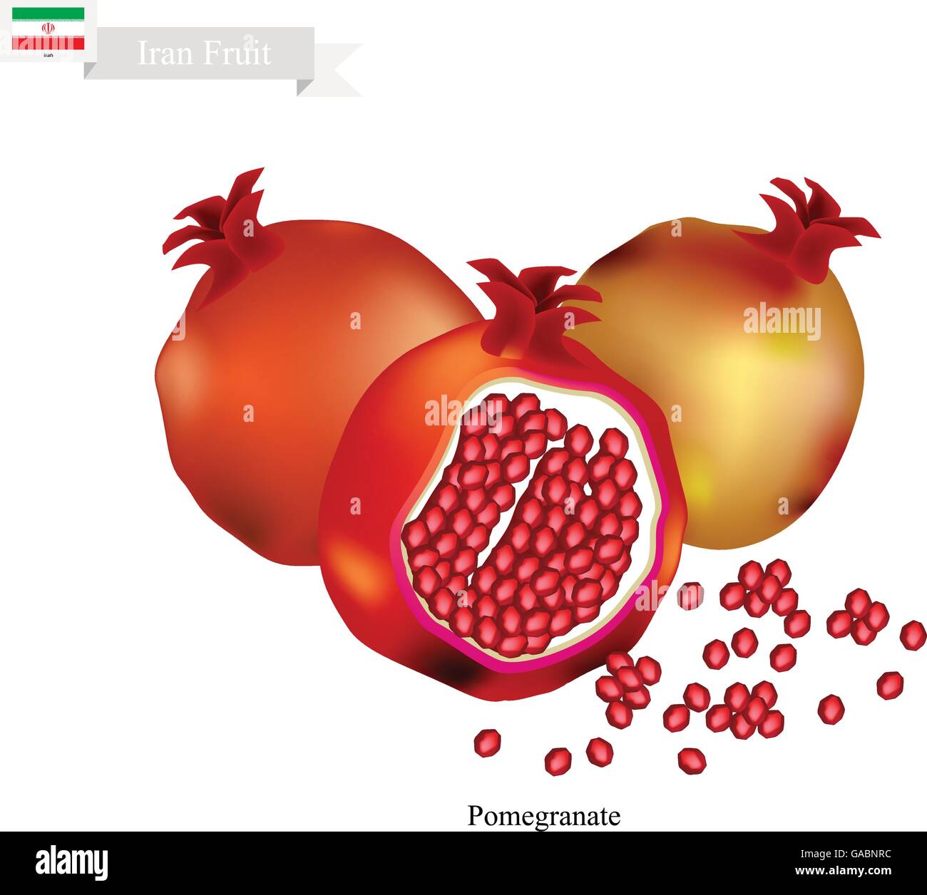Iranian fruits Stock Vector Images - Alamy