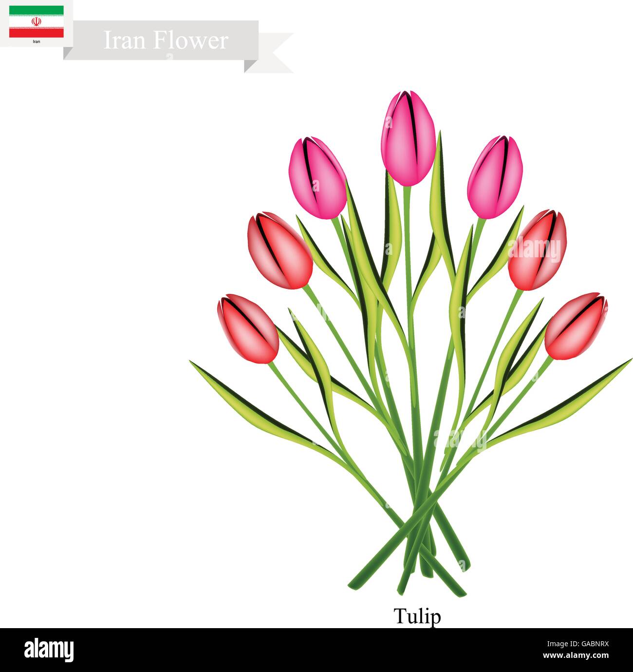 Famous Flower Drawings