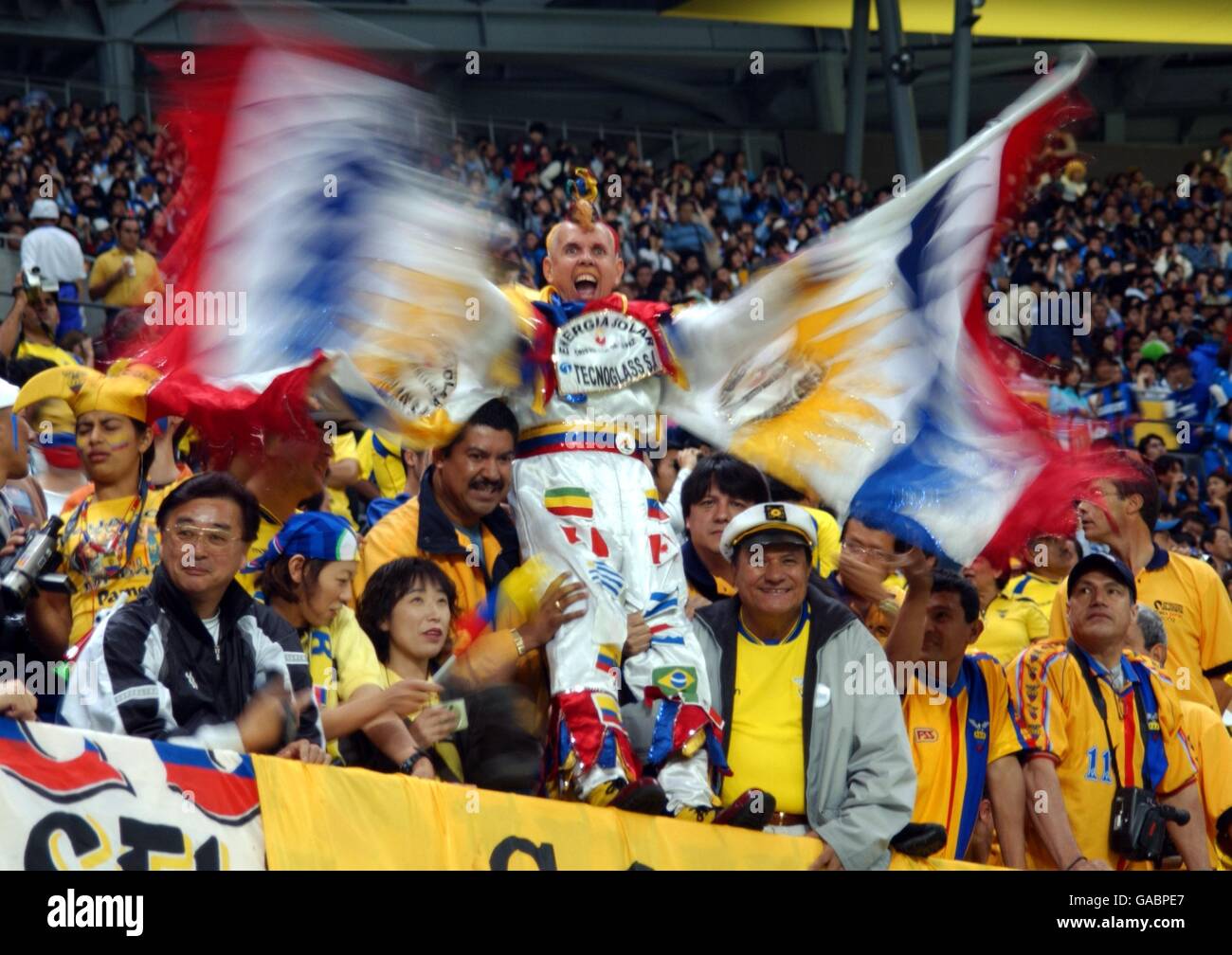 Soccer -FIFA World Cup 2002 - Group G - Italy v Ecuador. The Bird Man ...