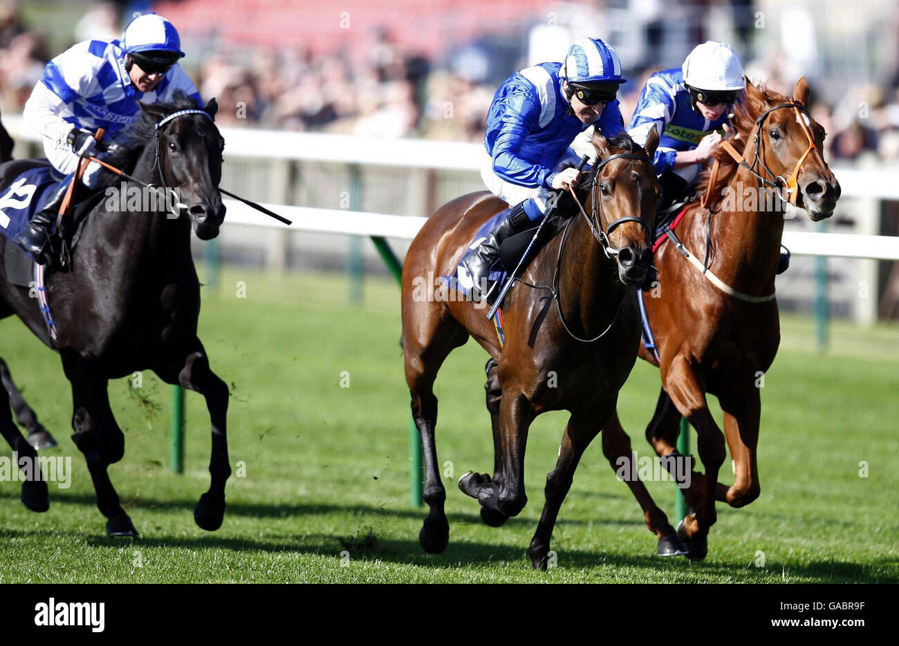 Horse racing newmarket racecourse hi-res stock photography and images ...