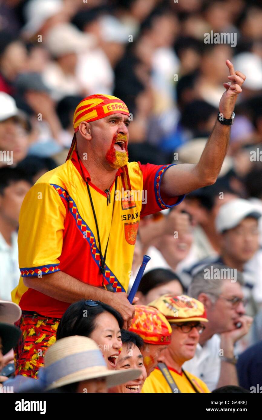 Soccer fifa world cup 2002 group b spain v paraguay hi-res stock ...
