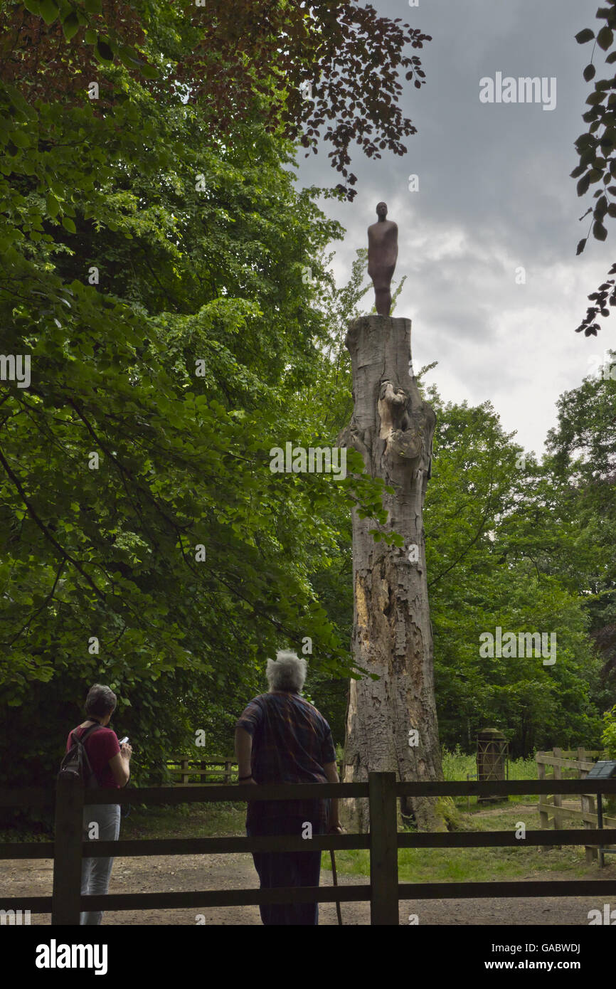 one and other Antony Gormley Stock Photo - Alamy
