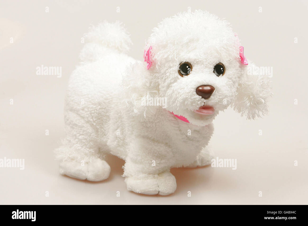 Puppy grows and knows your name hi-res stock photography and images - Alamy