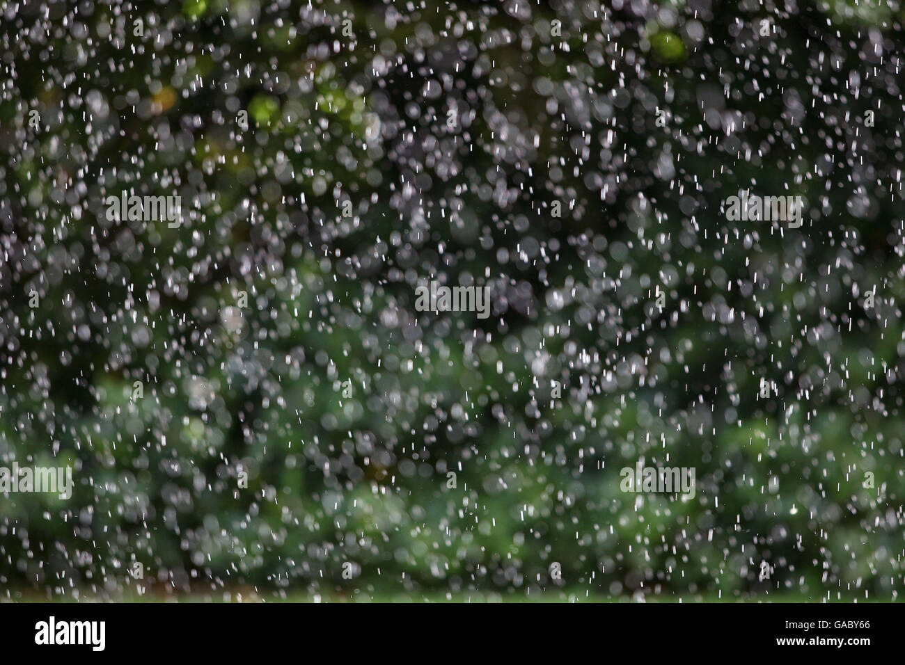 Heavy Rain Fall Stock Photo - Alamy