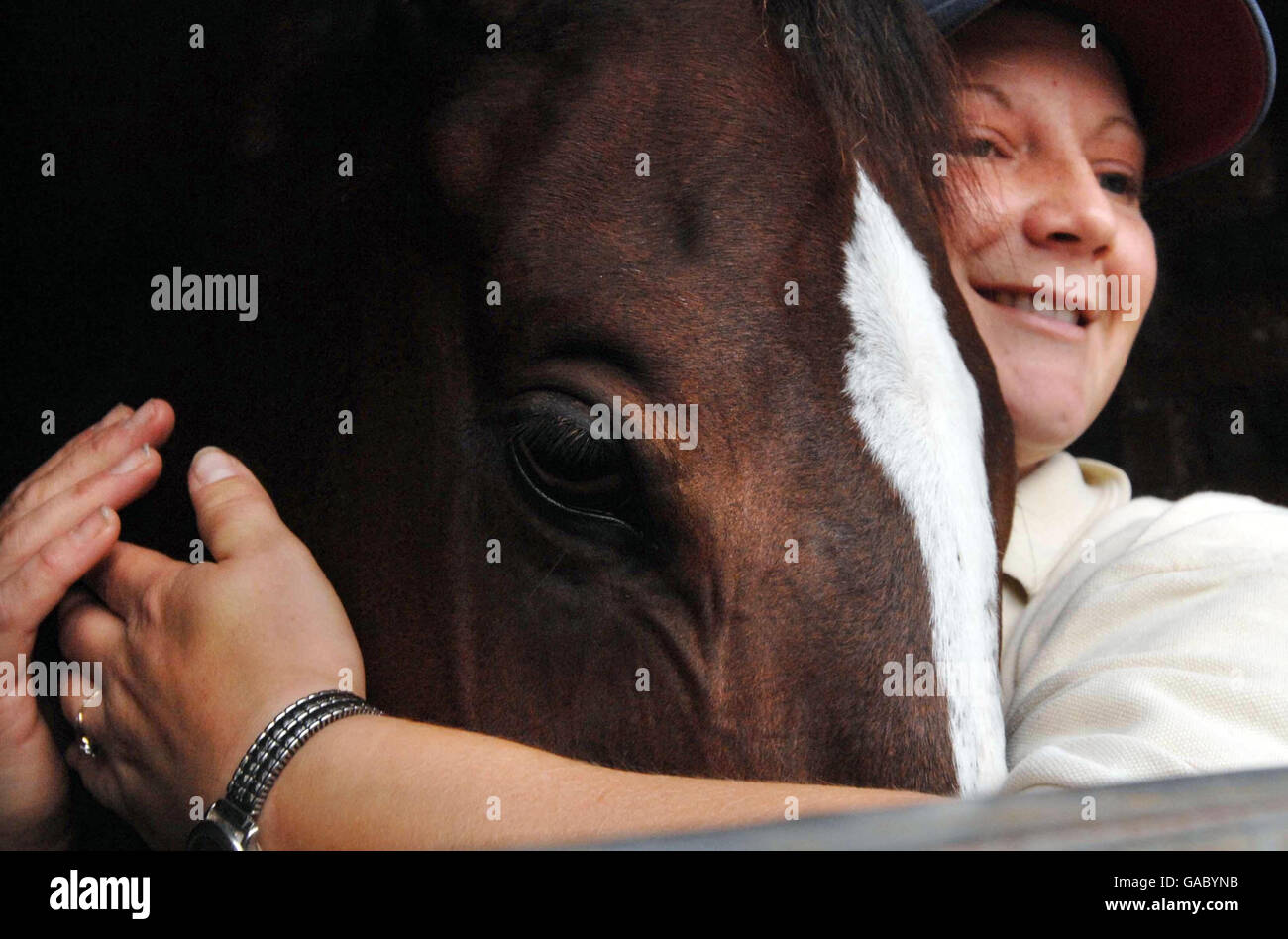 Kauto star stables hi-res stock photography and images - Alamy