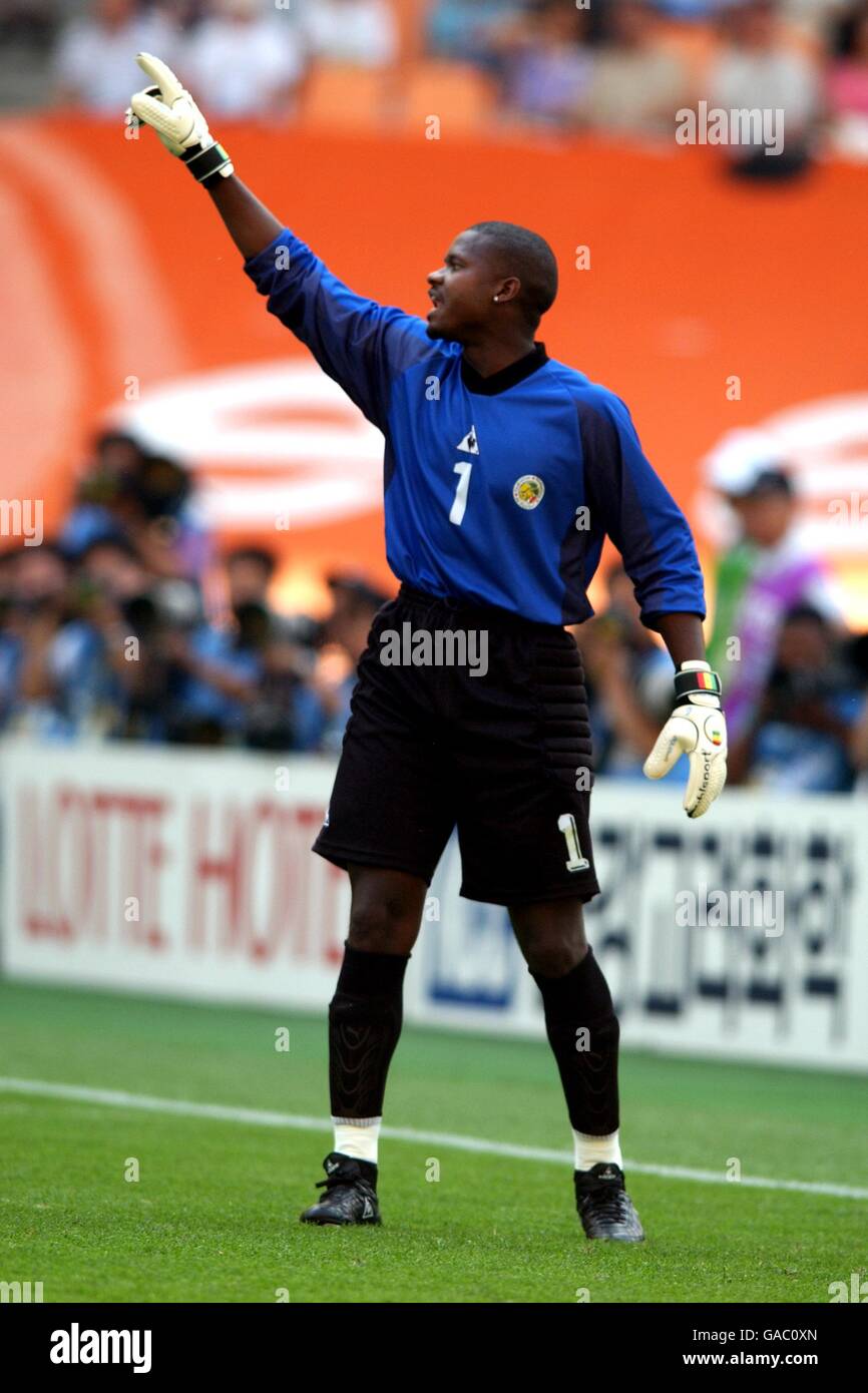 Soccer -FIFA World Cup 2002 - Group A - Denmark v Senegal Stock Photo ...