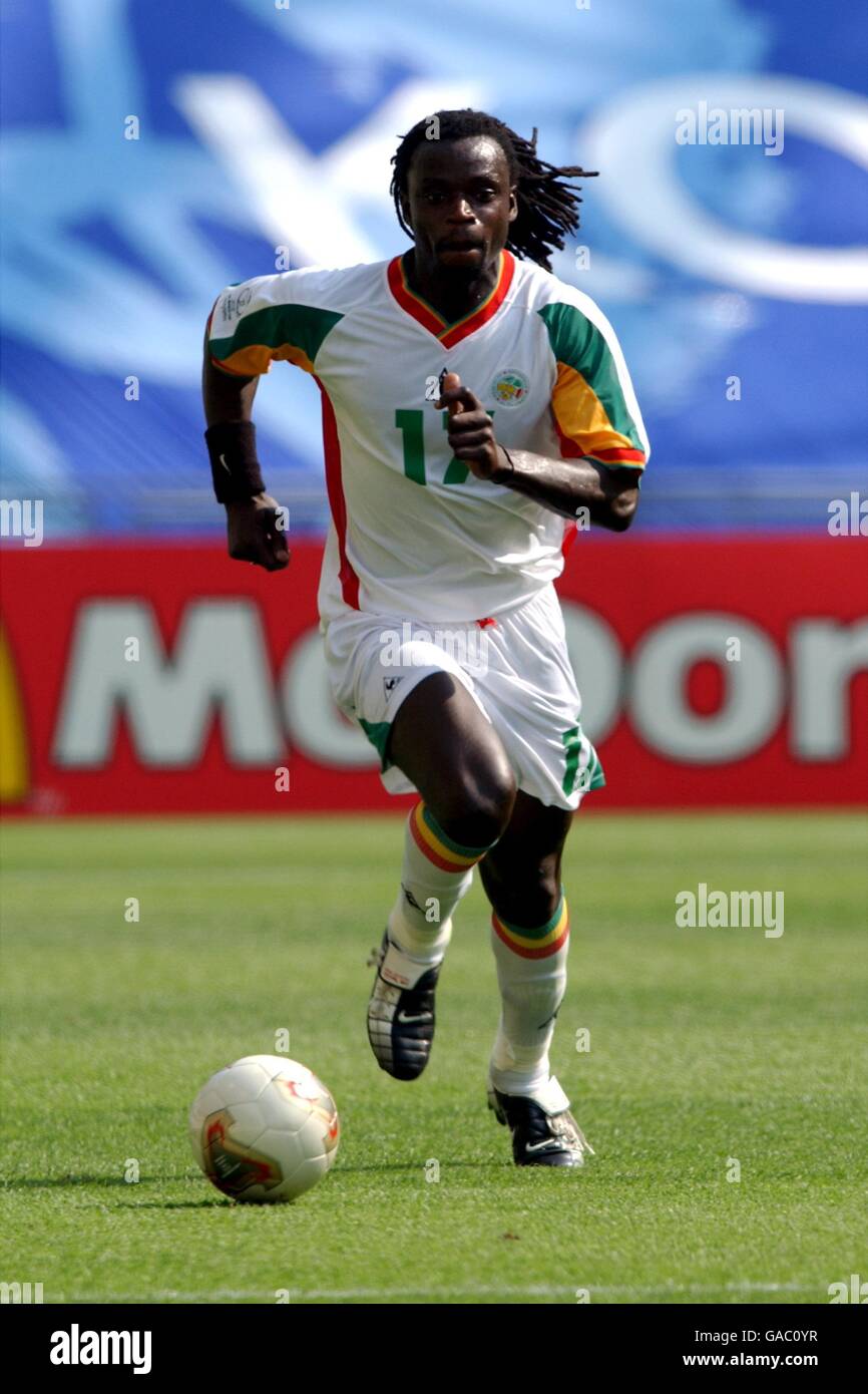 Senegal coly hi-res stock photography and images - Alamy