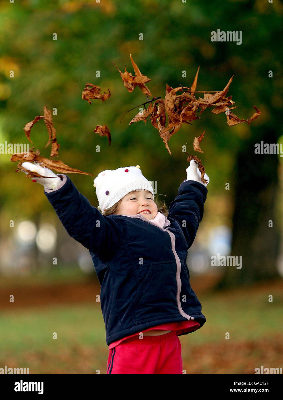 Alice wardle hi-res stock photography and images - Alamy