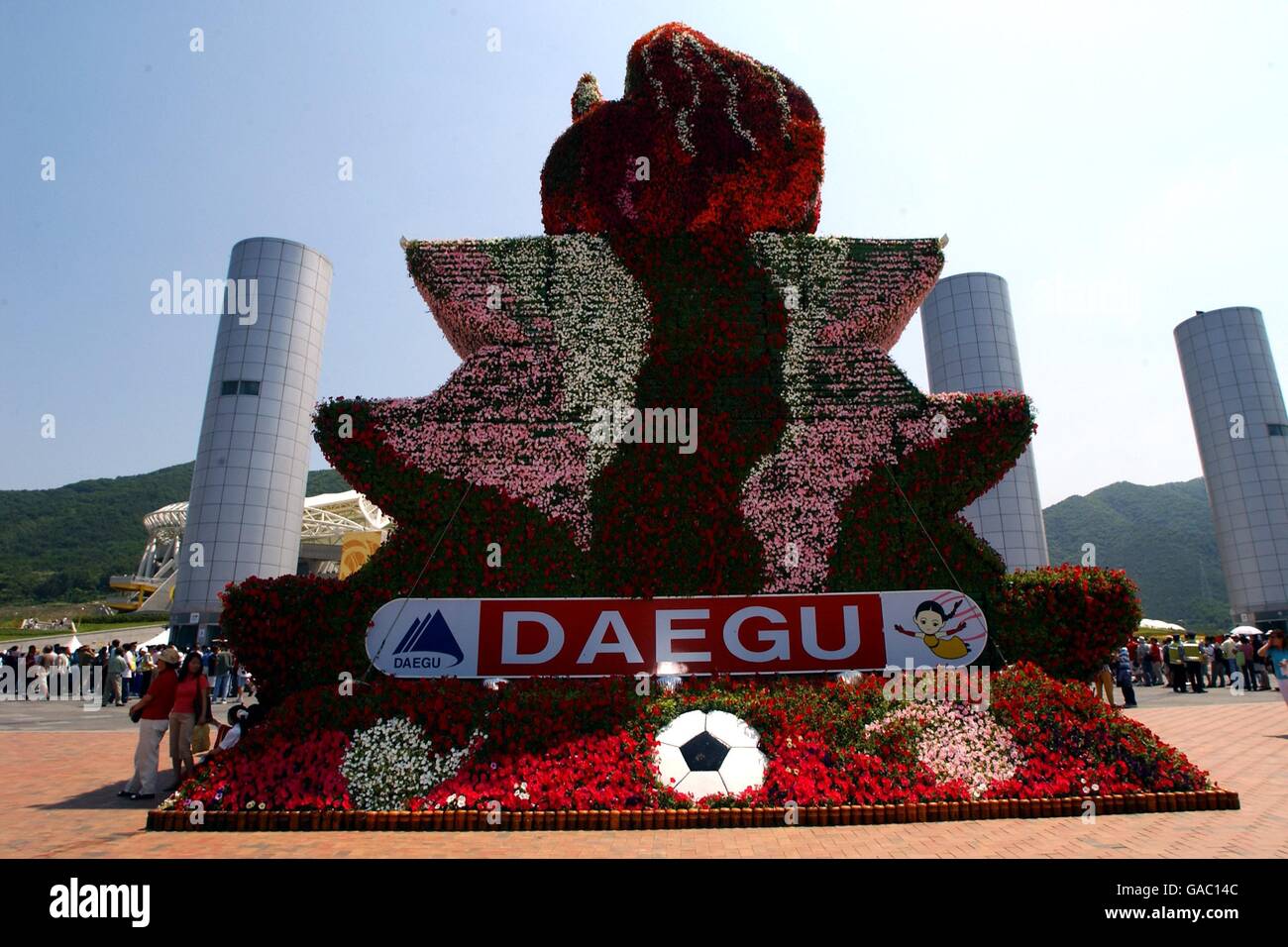 Soccer -FIFA World Cup 2002 - Group A - Denmark v Senegal. A flower ...