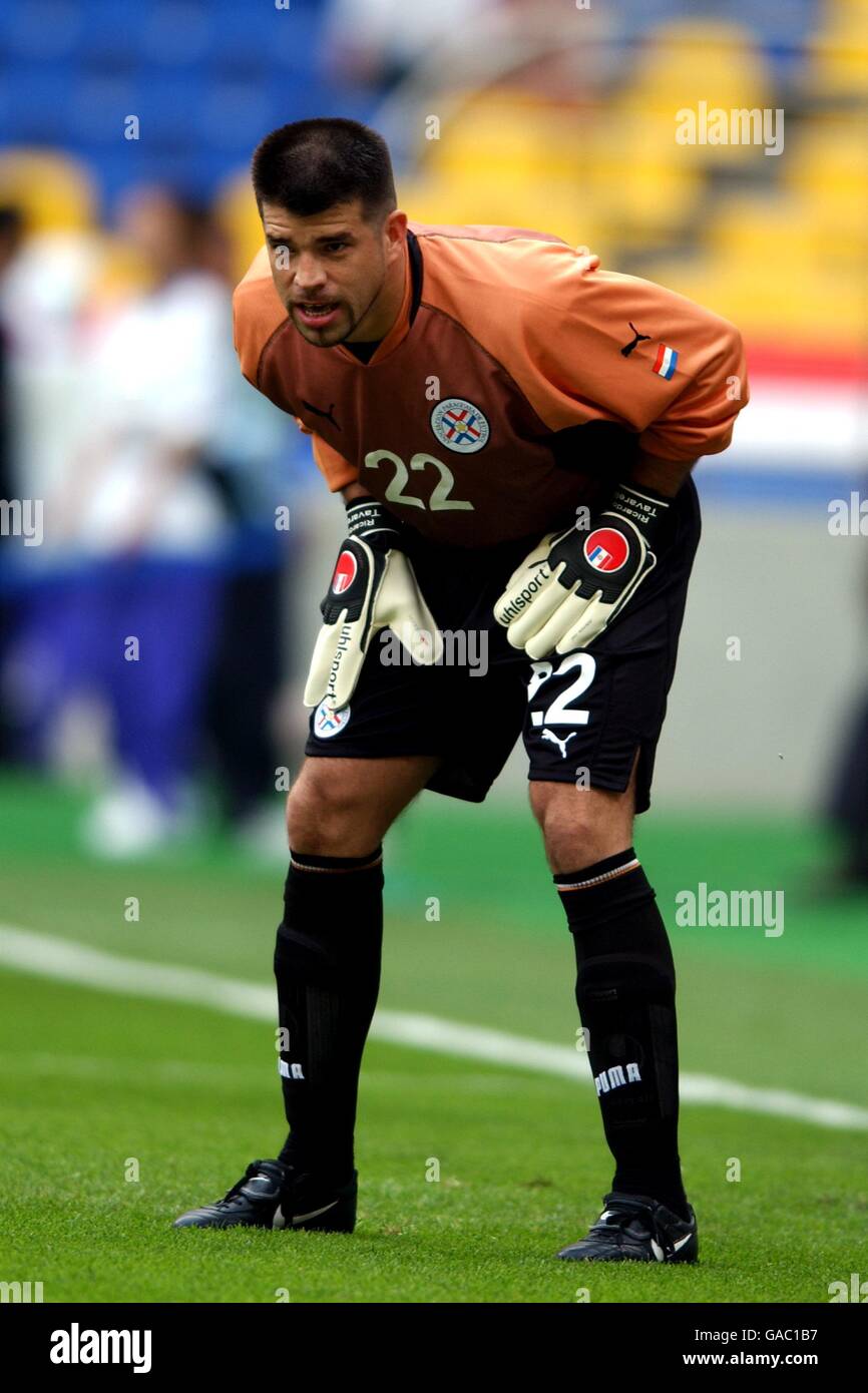 Soccer fifa world cup 2002 group paraguay south africa hi-res stock ...