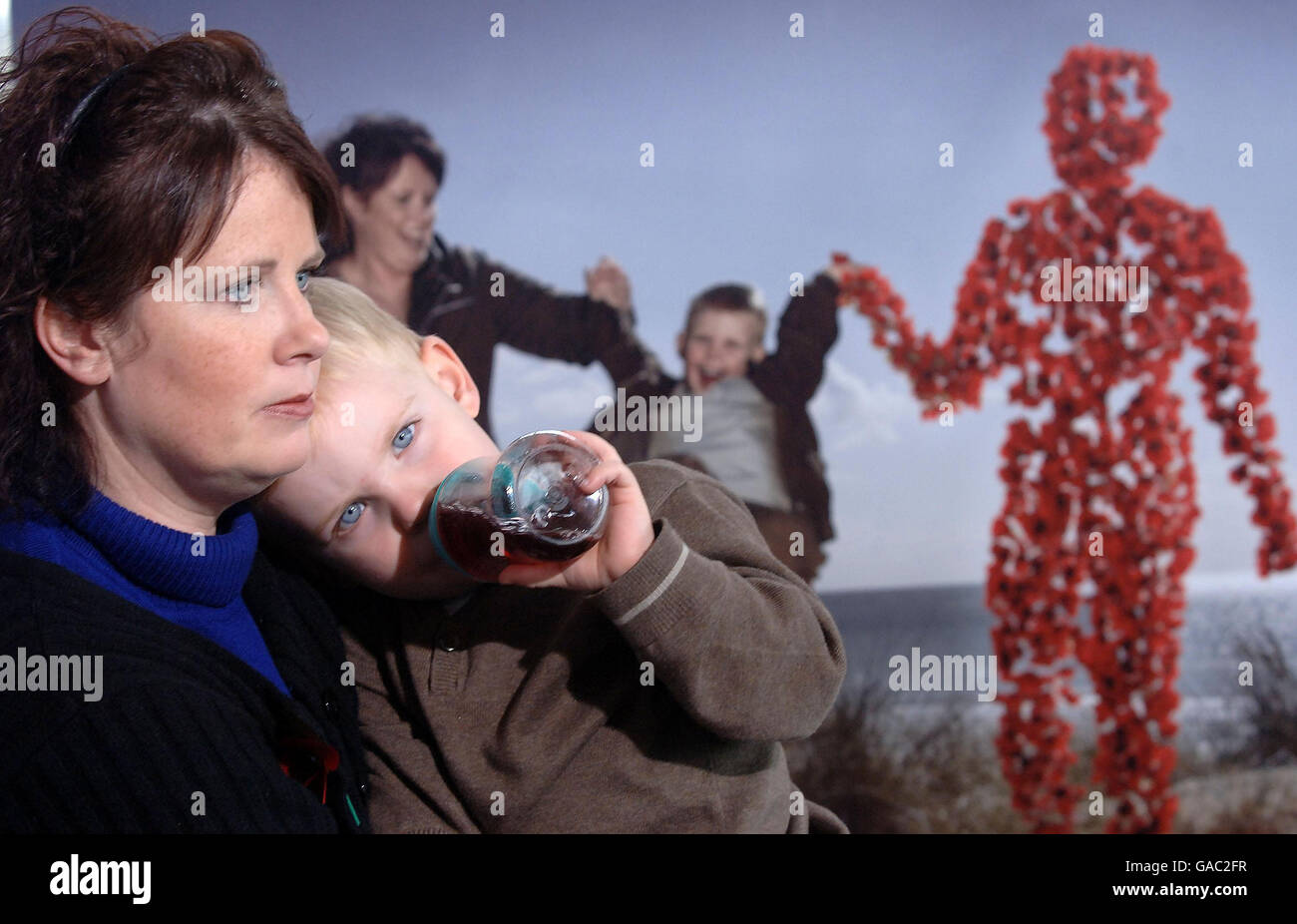 2007 poppy appeal hi-res stock photography and images - Alamy