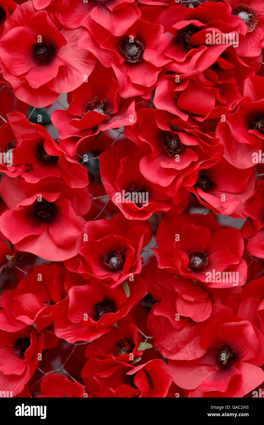 A detailed view of the poppies on the 'poppy man', at the launch of the ...