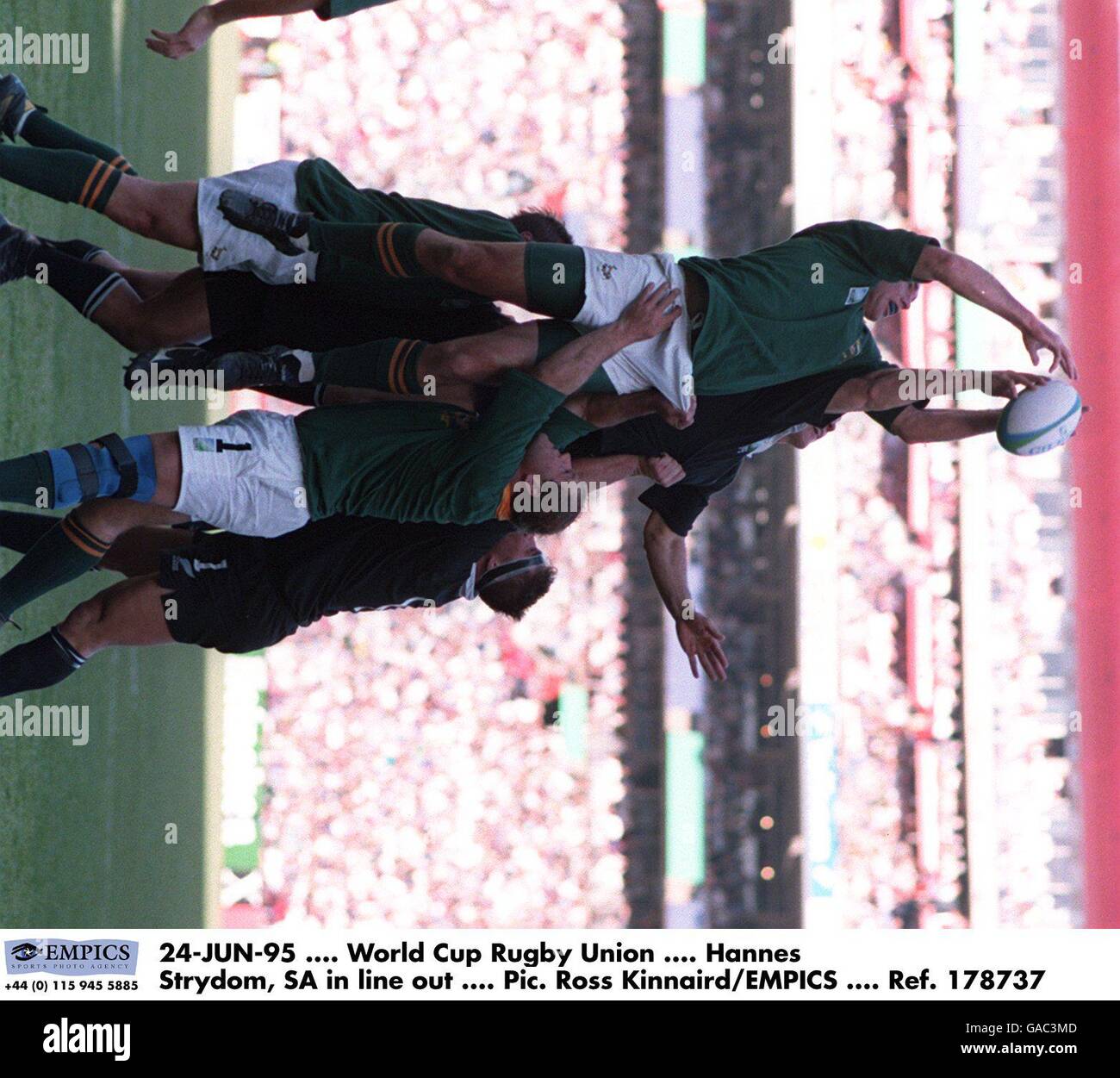 24 jun 95 world cup rugby union hannes strydom hi-res stock photography ...