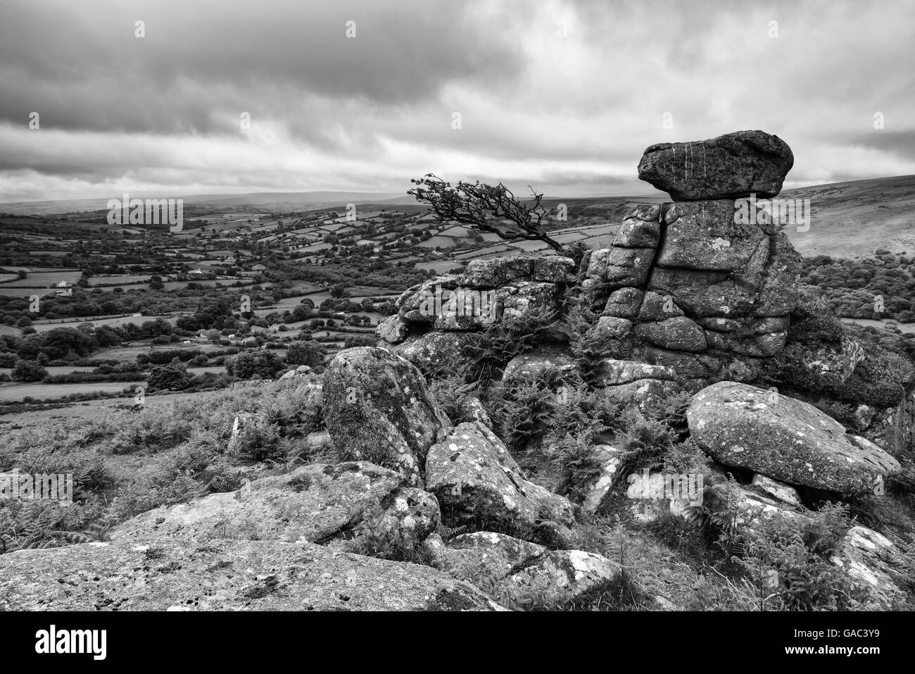 Widecombe dartmoor view Black and White Stock Photos & Images - Alamy